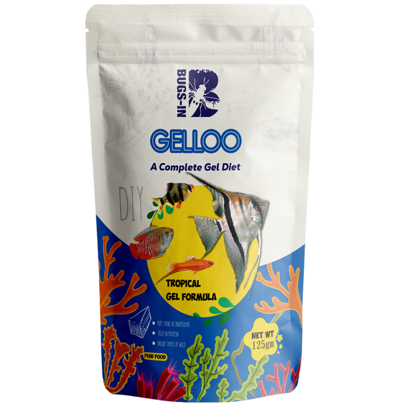Bugs-In Gelloo Tropical Gel Formula - Taiyo Feed Mill Limited
