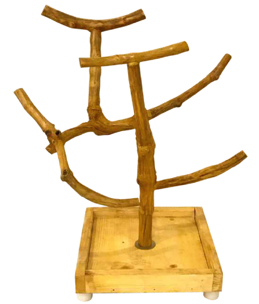 Buy Perches Online – Comfortable & Durable Perches for Birds