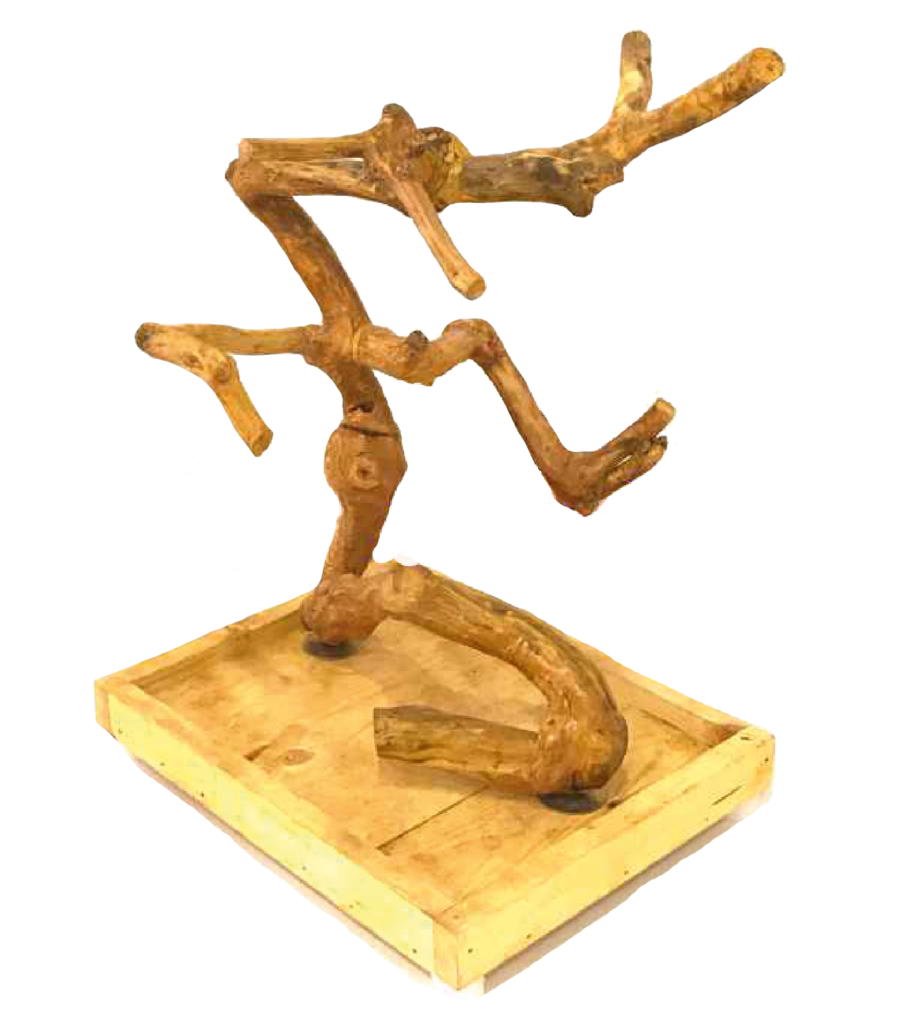 Buy Perches Online – Comfortable & Durable Perches for Birds