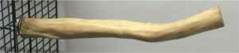 Buy Perches Online – Comfortable & Durable Perches for Birds